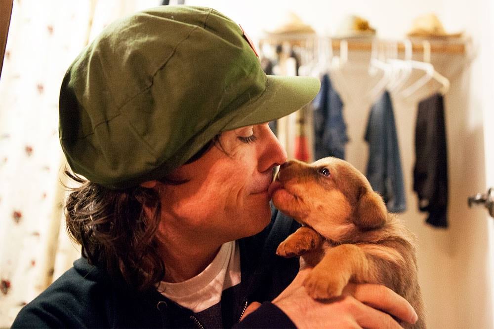 🐶 Alex and MacKaye - An Eternal “Love at First Sight” Story – HTR Store