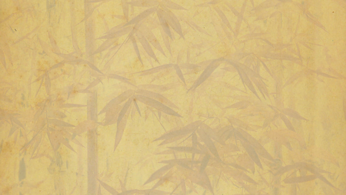 Koko et ses Machines – HTR Store